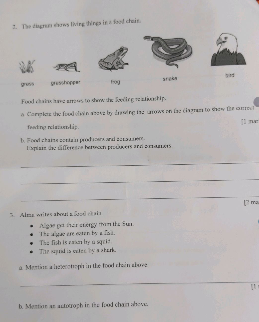 2. The diagram shows living things in a food | StudyX