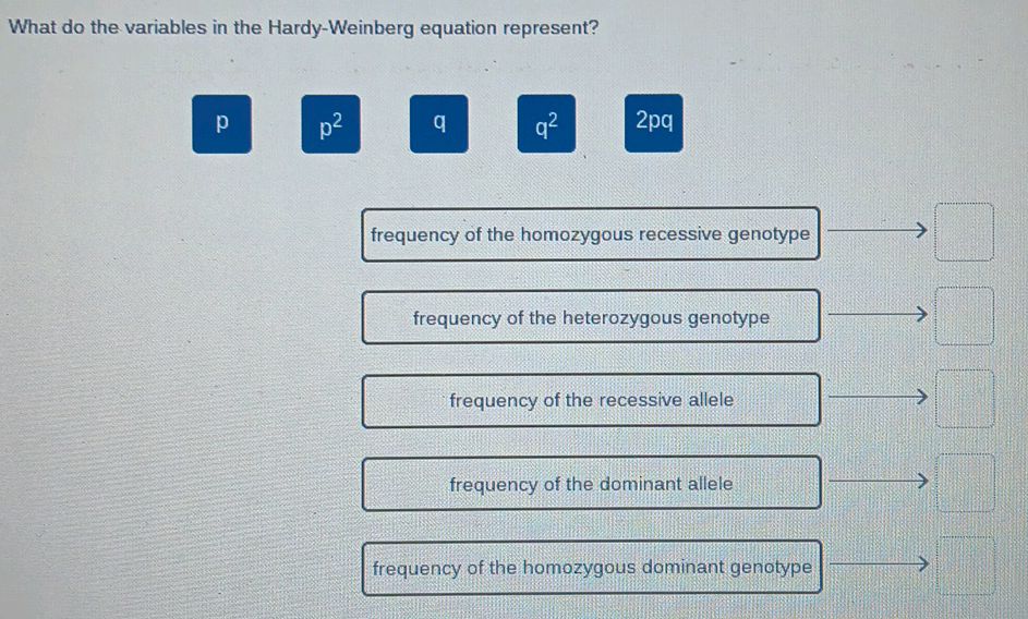 What do the variables in the Hardy-Weinberg | StudyX