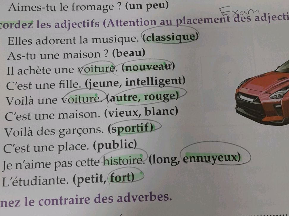 cordez les adjectifs (Attention au placement | StudyX