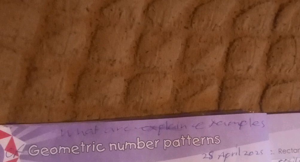 What are explain examples Geometric number | StudyX