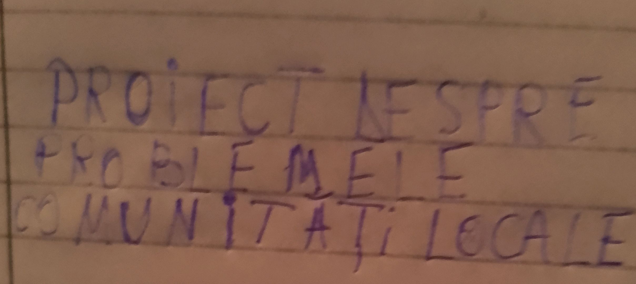 PROIECT DESPRE PROBLEMELE COMUNITATI LOCALE | StudyX