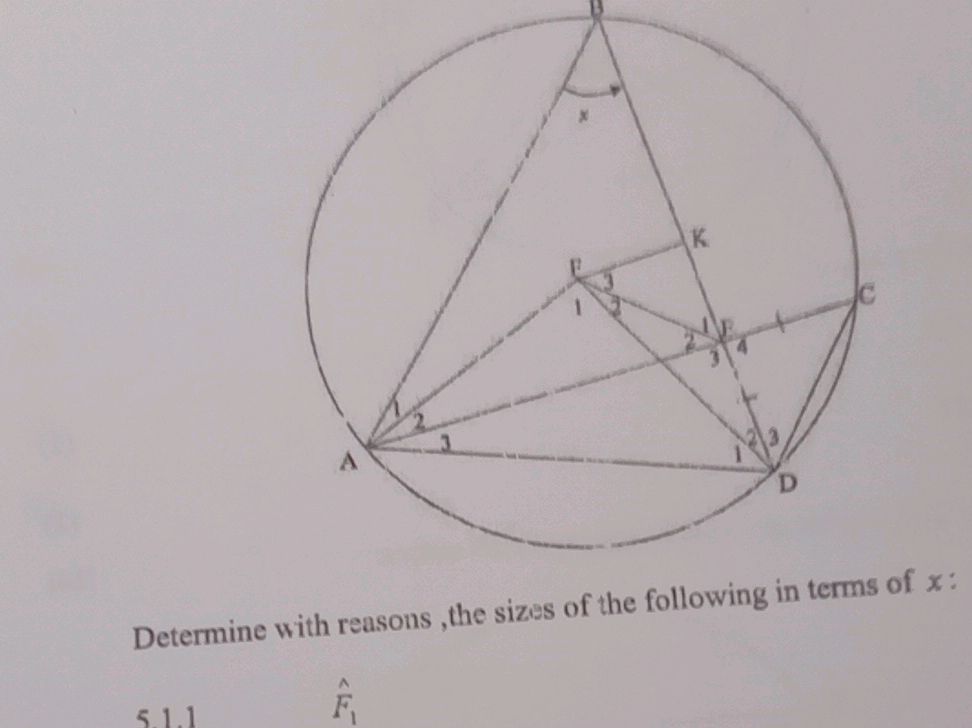 Determine with reasons, the sizes of the | StudyX