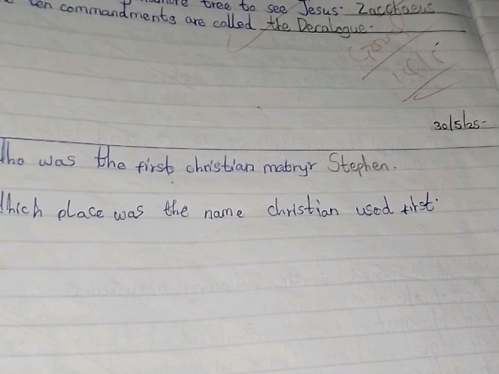 Who was the first christian matryr Stephen? | StudyX