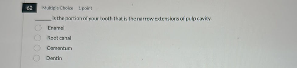 is the portion of your tooth that is | StudyX
