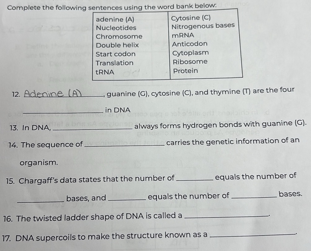 Complete the following sentences using the | StudyX