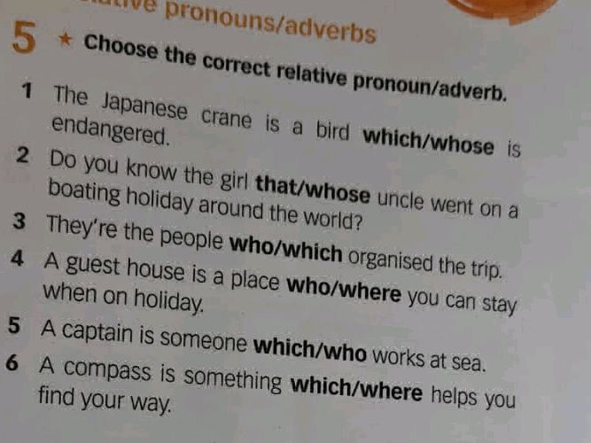 Choose the correct relative pronoun/adverb. | StudyX