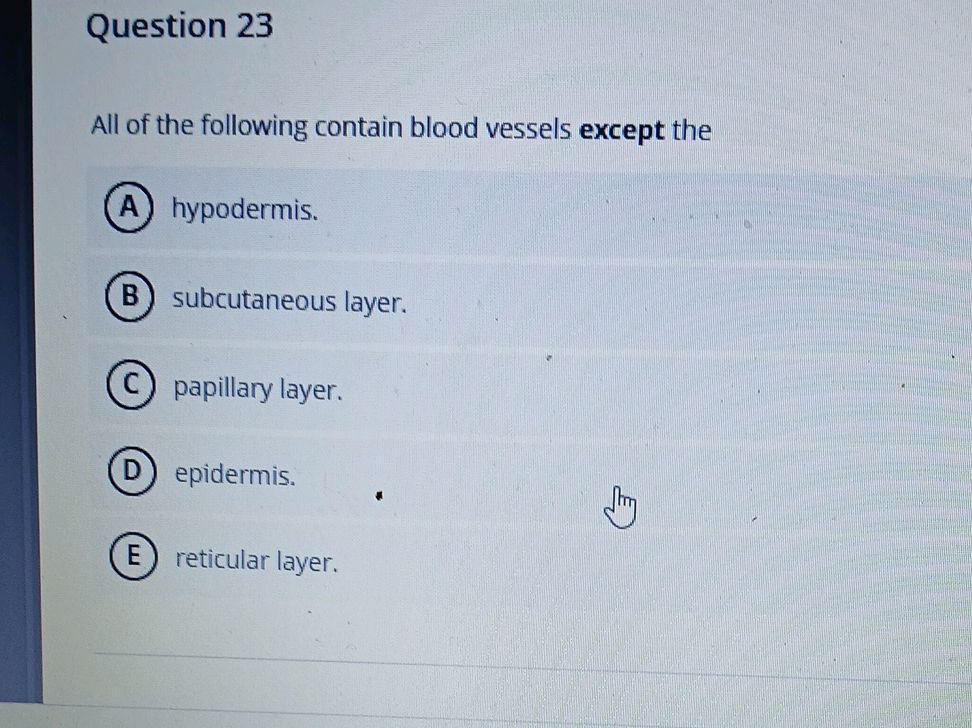 All of the following contain blood vessels | StudyX