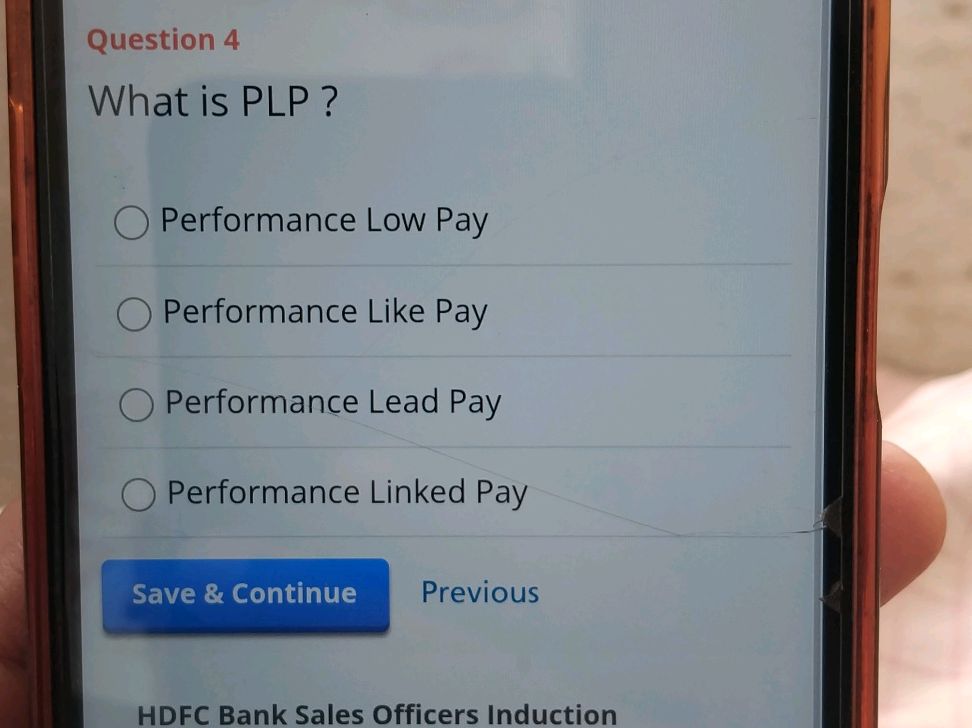 What is PLP? Performance Low Pay | StudyX