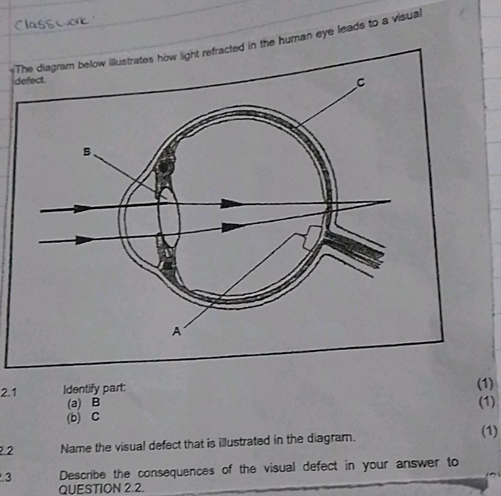 The diagram below illustrates how light | StudyX
