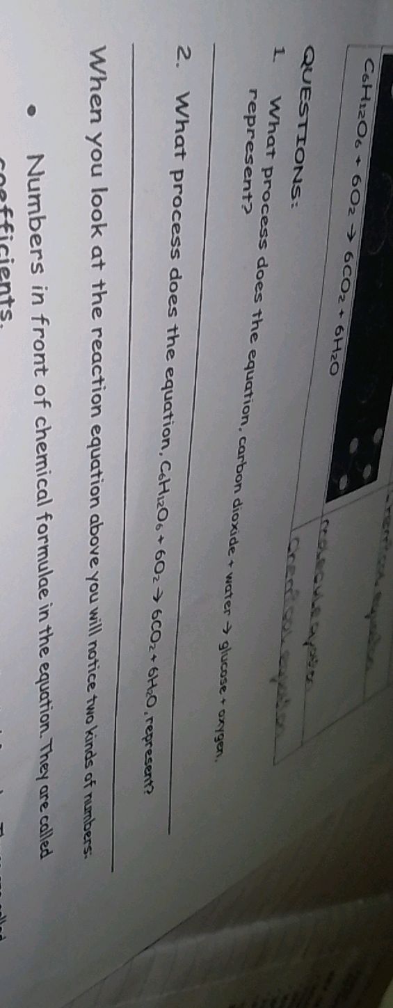 QUESTIONS: 1. What process does the | StudyX