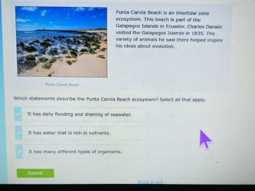 Which statements describe the Punta Carola