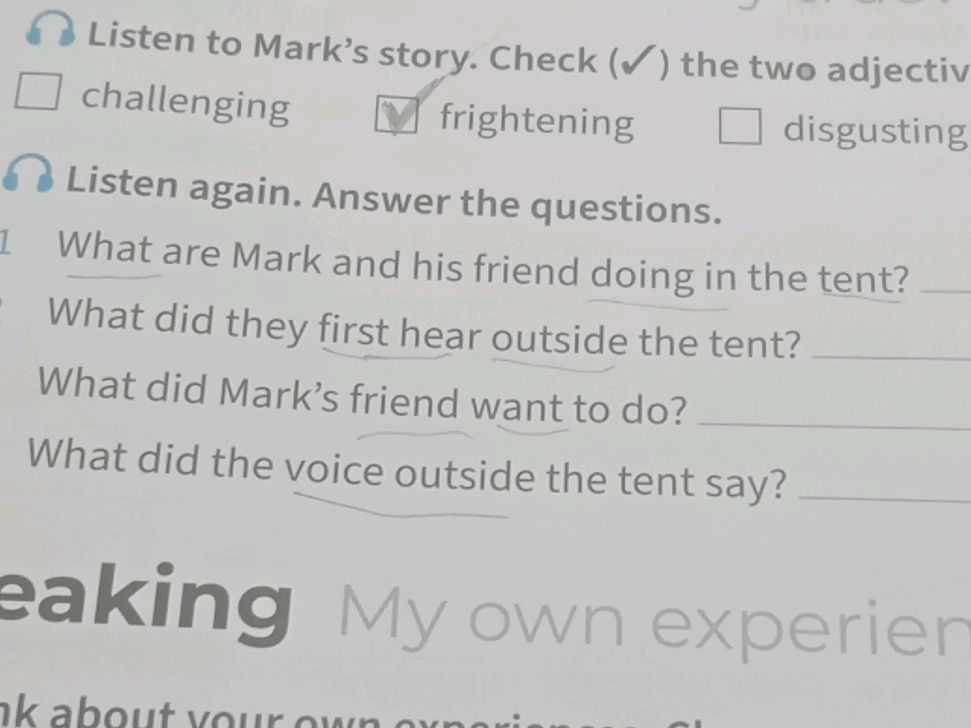 Listen to Mark's story. Check ( ) the two | StudyX