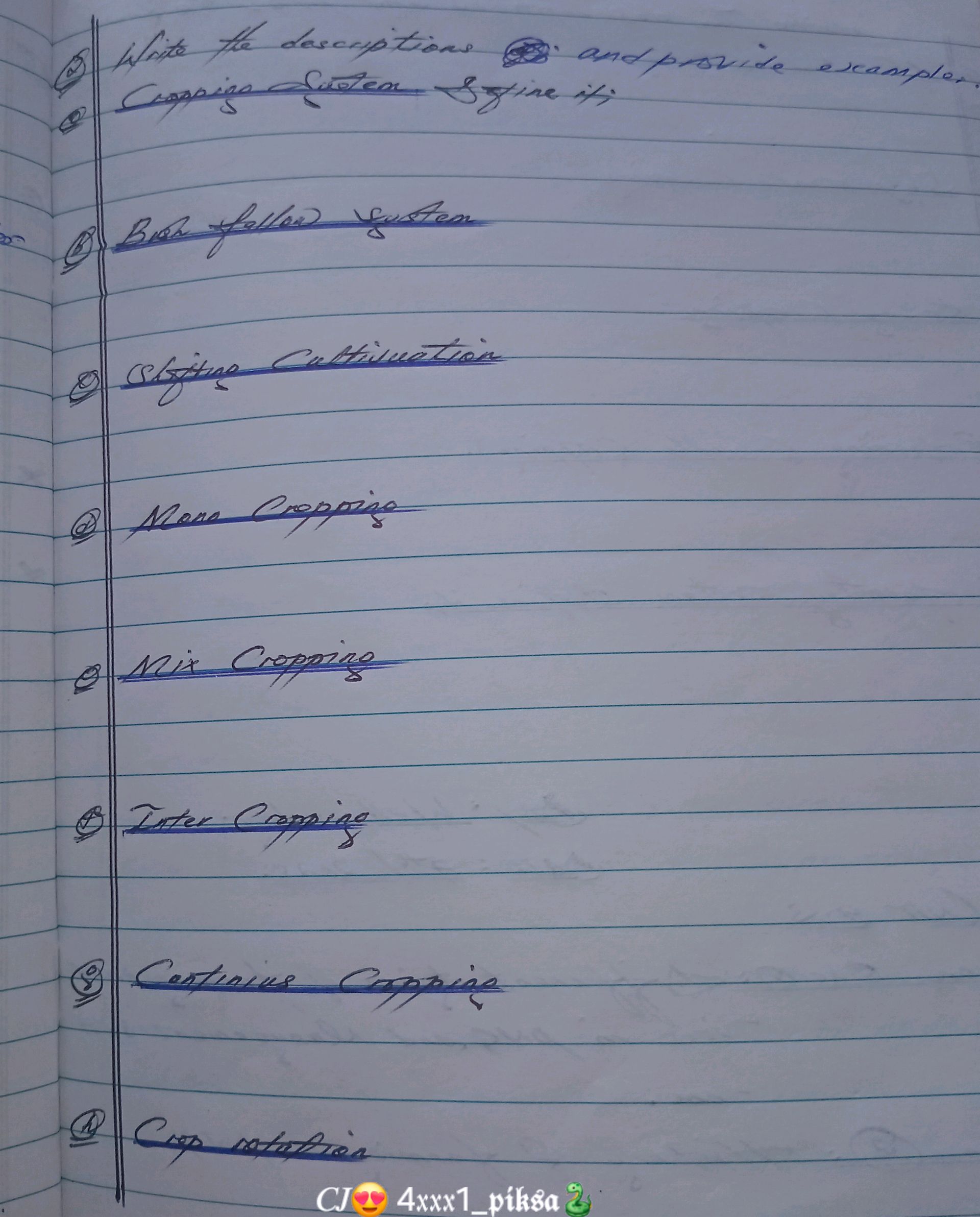 Write the descriptions and provide examples. | StudyX