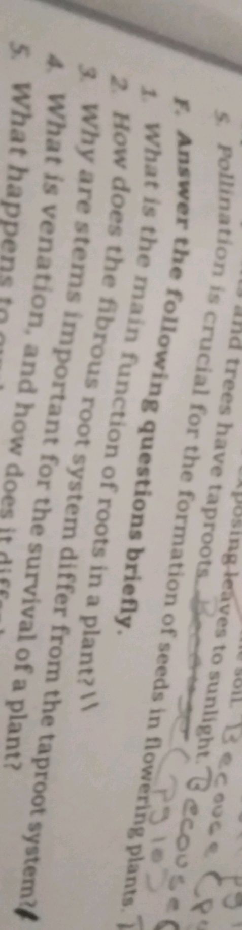 F. Answer the following questions briefly. | StudyX