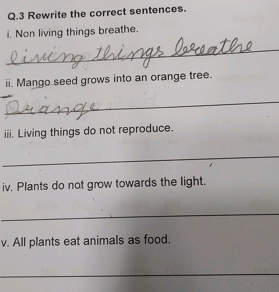 Q.3 Rewrite the correct sentences. i. Non | StudyX