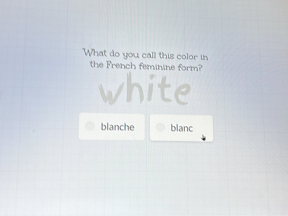 What do you call this color in the French | StudyX