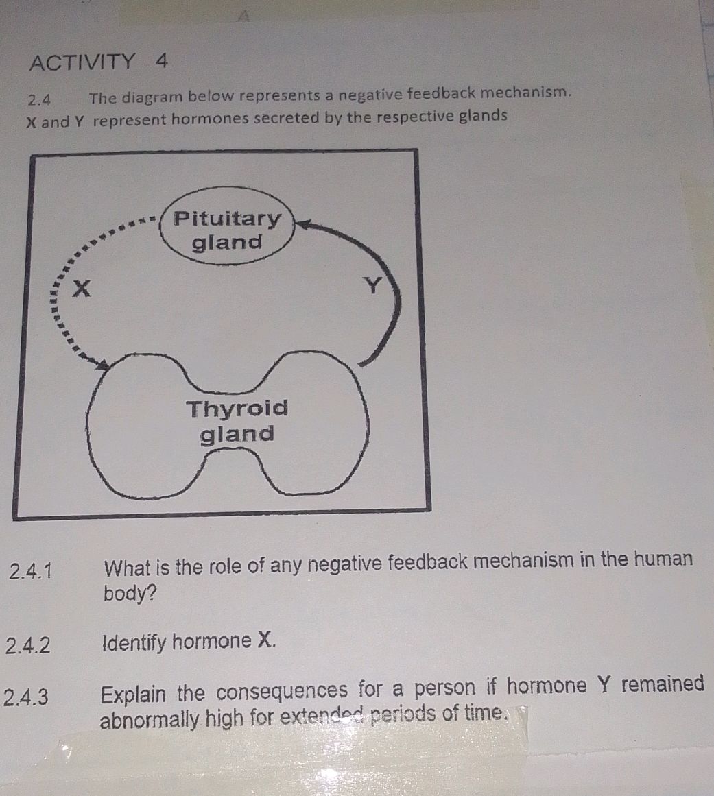 2.4 The diagram below represents a negative | StudyX