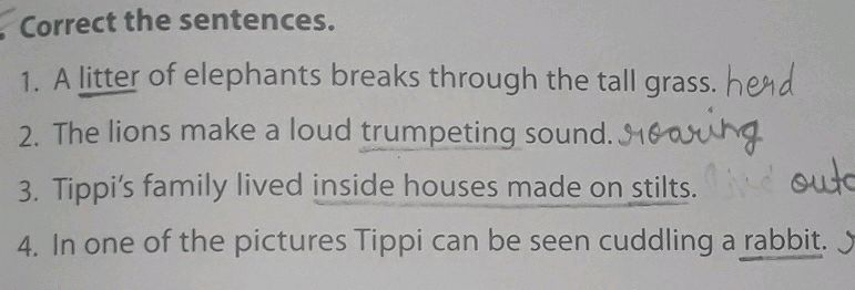 Correct the sentences. 1. A litter of | StudyX