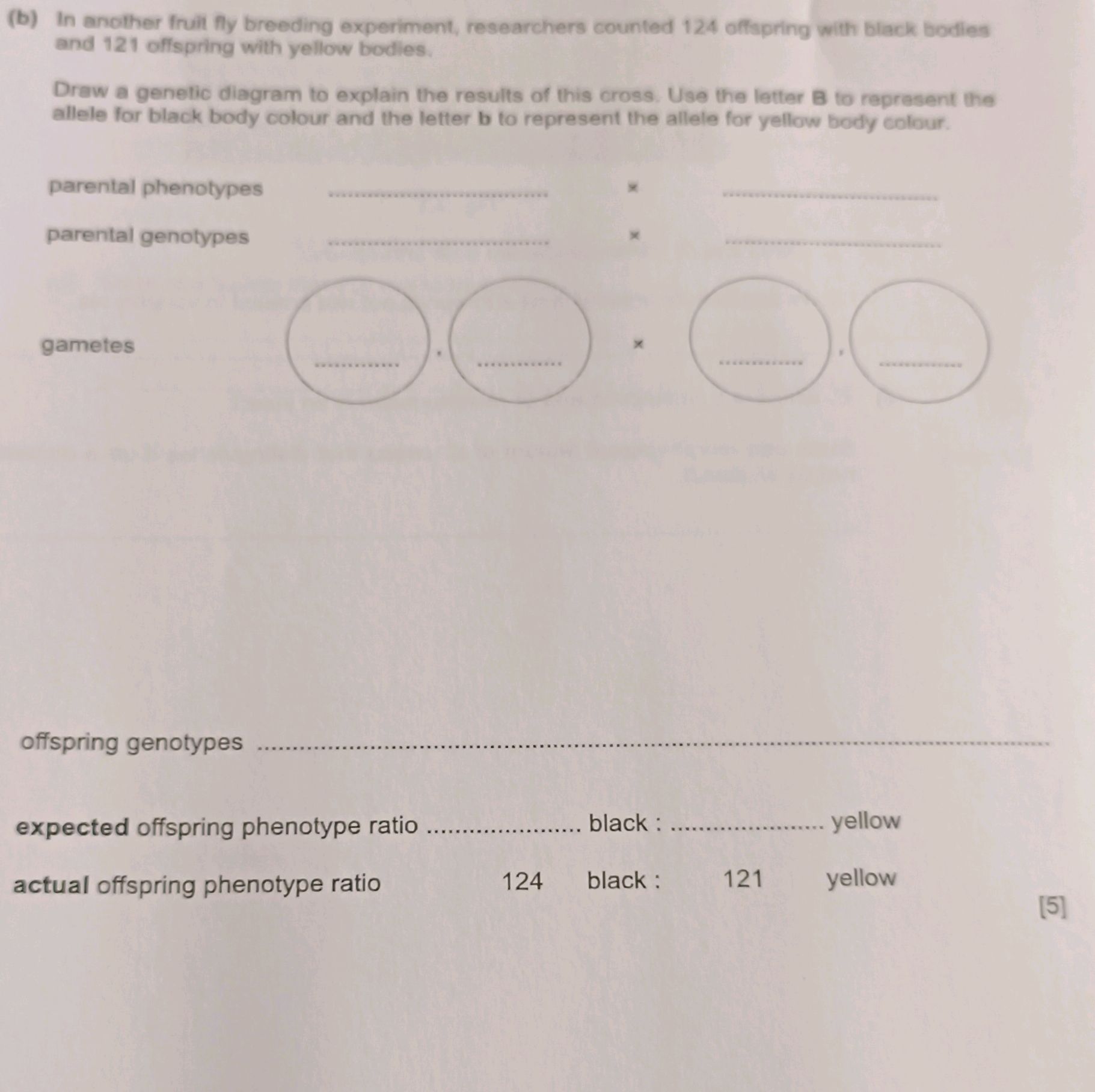 (b) In another fruit fly breeding | StudyX
