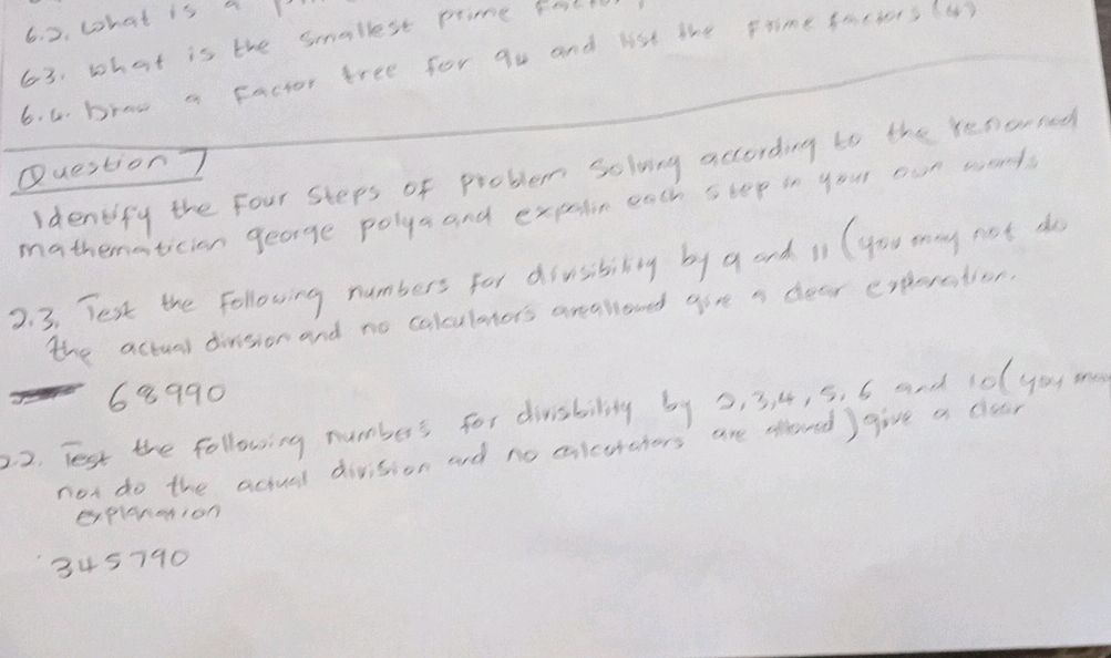 Identify the Four Steps of problem Solving | StudyX
