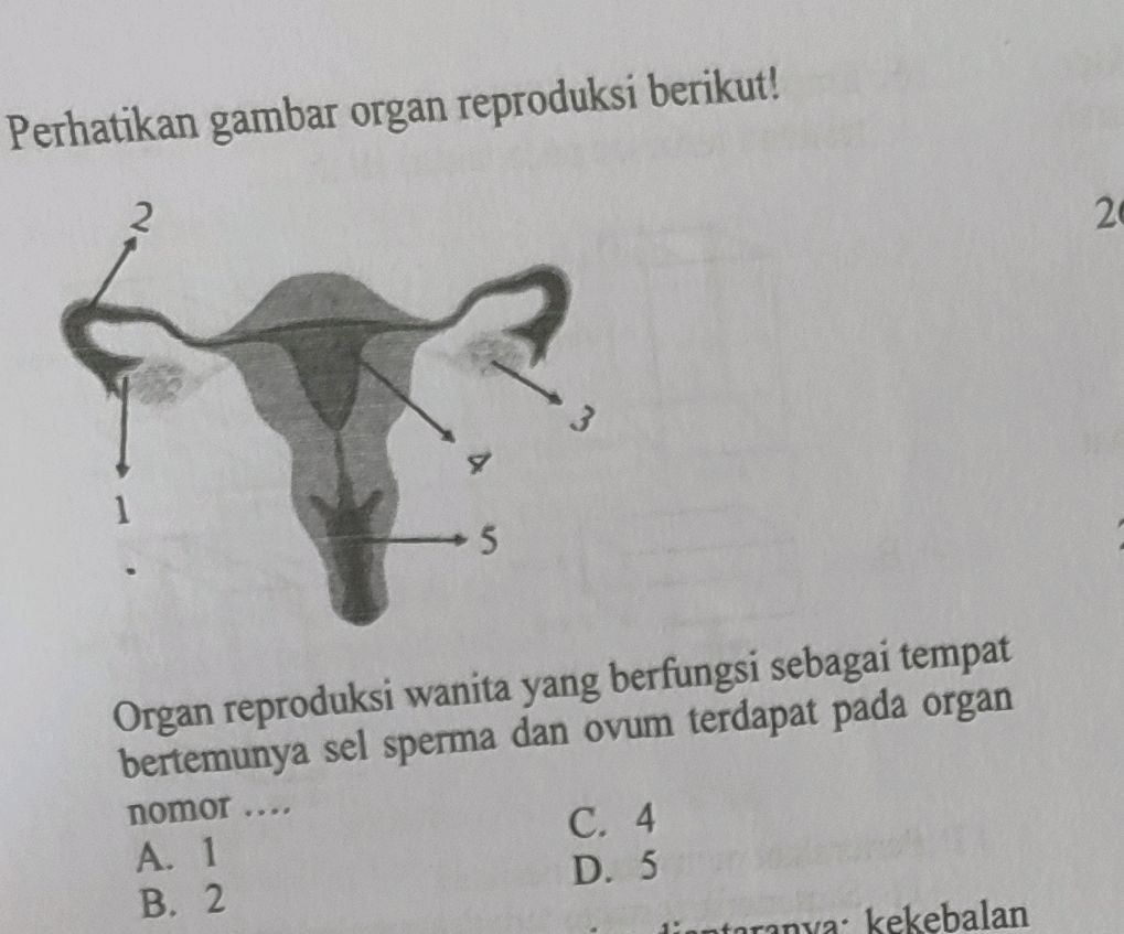 Perhatikan gambar organ reproduksi berikut! | StudyX