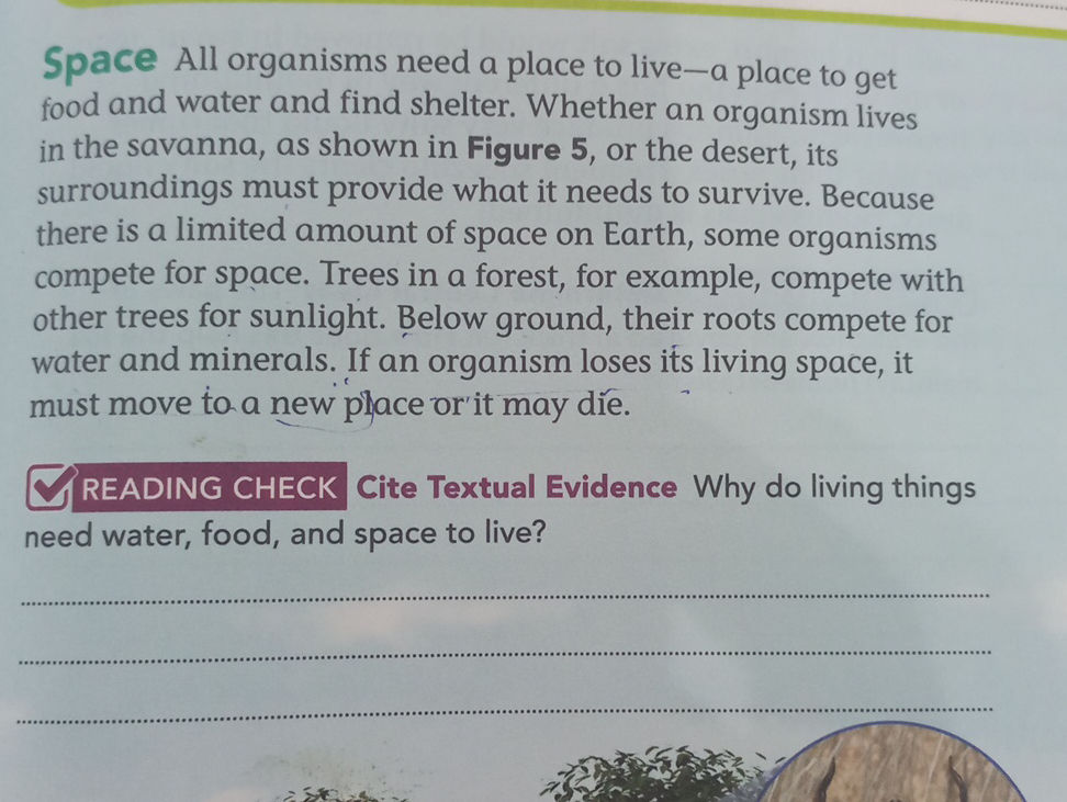 Why do living things need water, food, and | StudyX