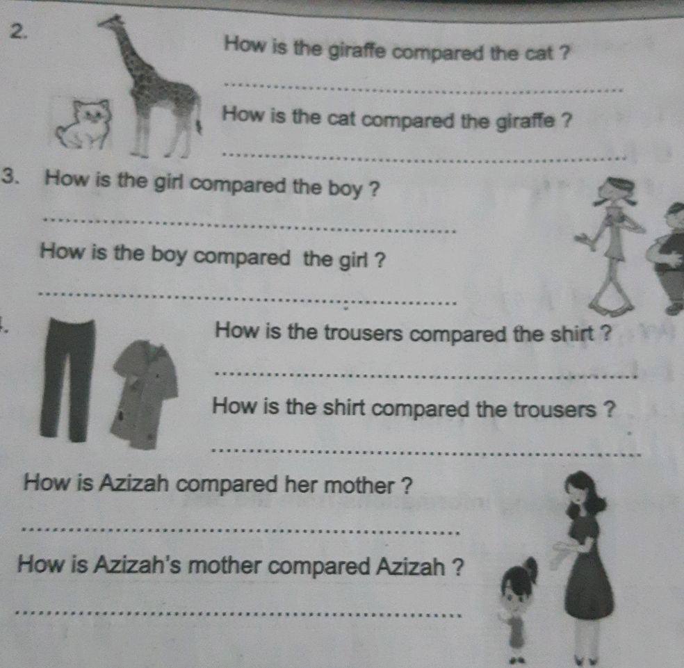 2. How is the giraffe compared the cat? How | StudyX