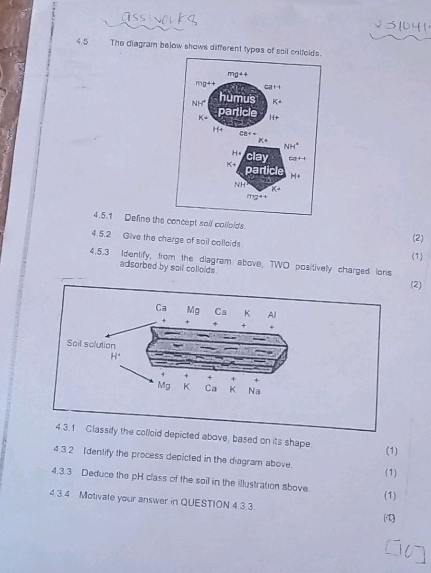 4.5 The diagram below shows different types | StudyX