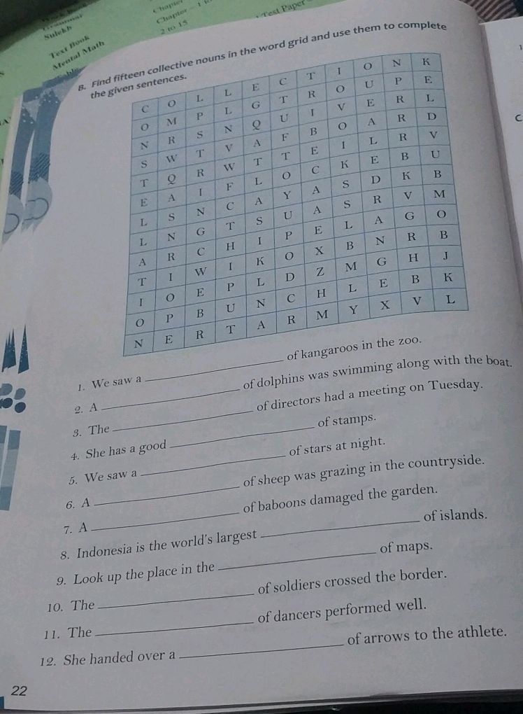 8. Find fifteen collective nouns in the word | StudyX