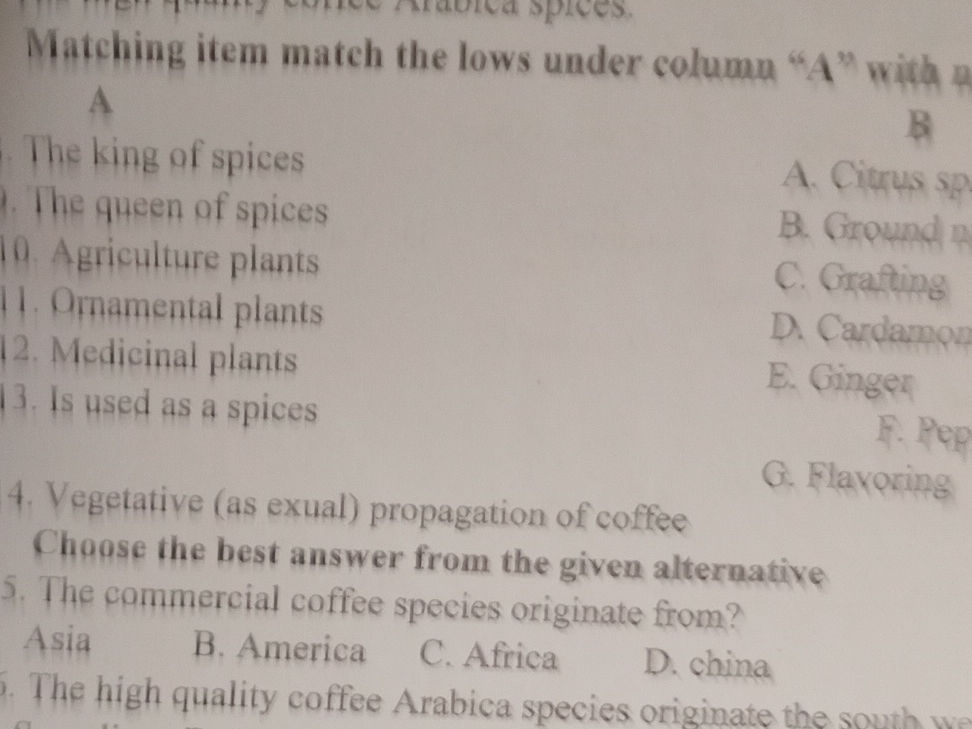 Matching item match the lows under column | StudyX