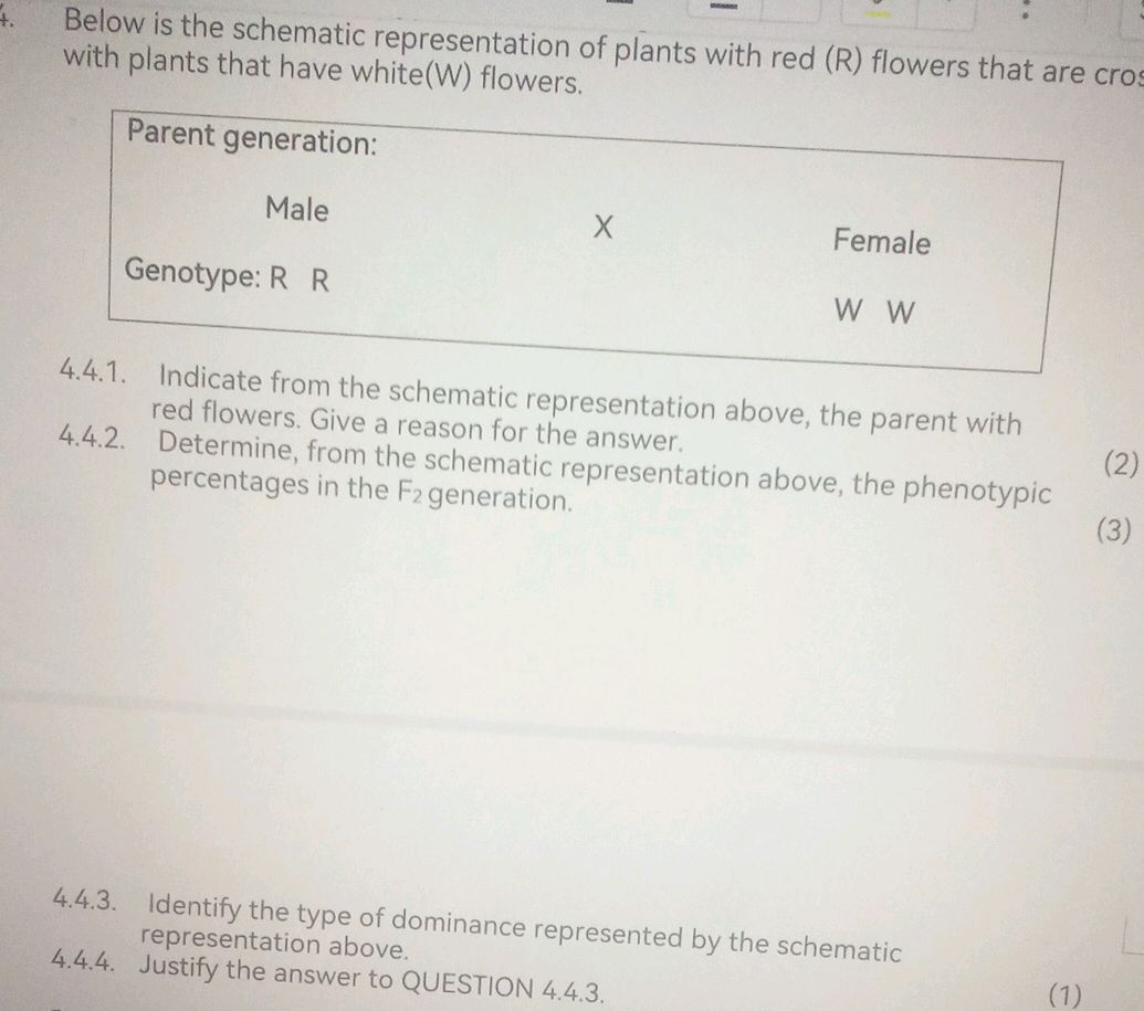 Below is the schematic representation of | StudyX