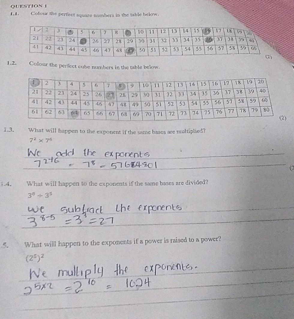 1. Colour the perfect square numbers in the | StudyX