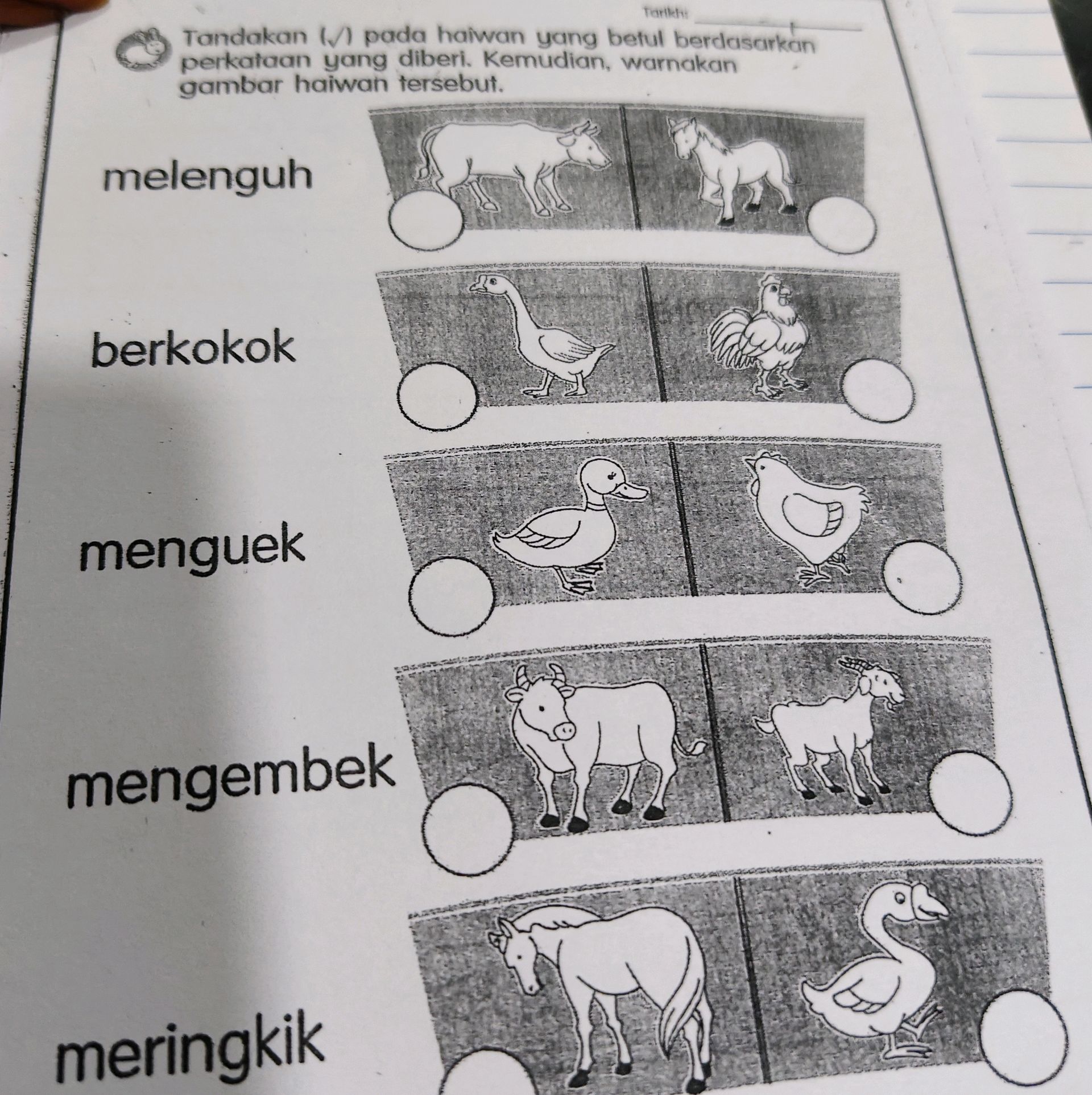 Tandakan (V) pada haiwan yang betul | StudyX