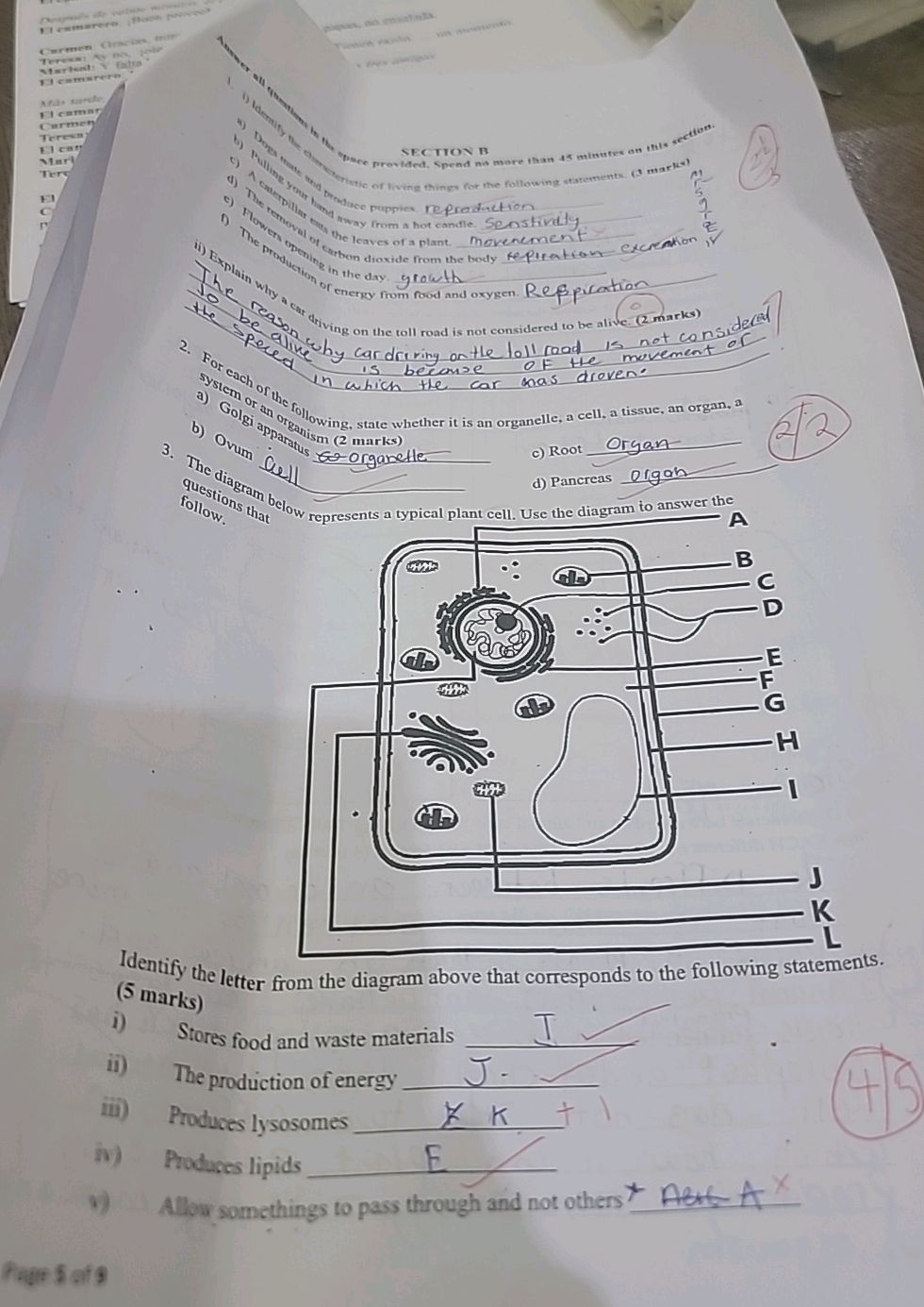 3. The diagram below represents a typical | StudyX