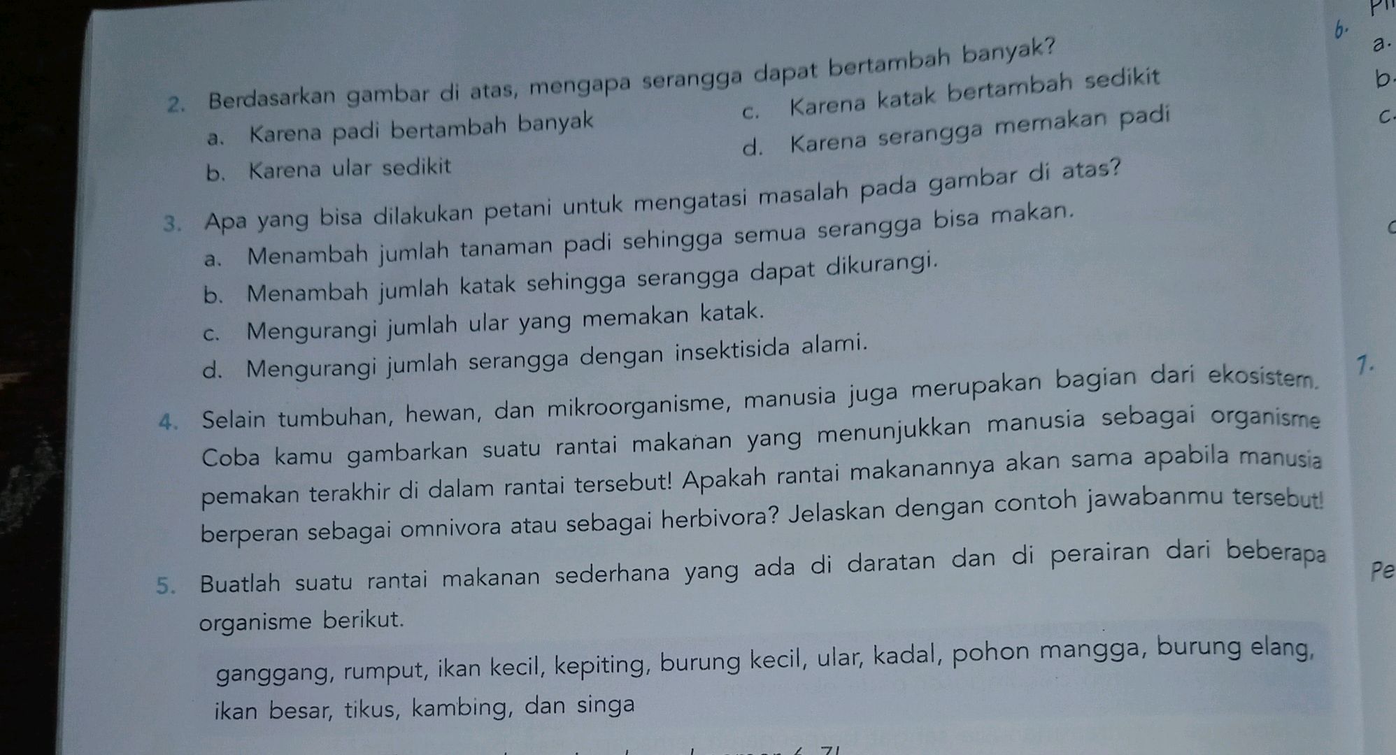 2. Berdasarkan gambar di atas, mengapa | StudyX