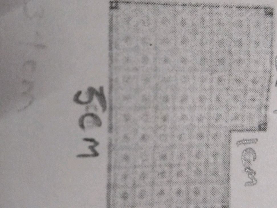 The image shows a shape with dimensions | StudyX