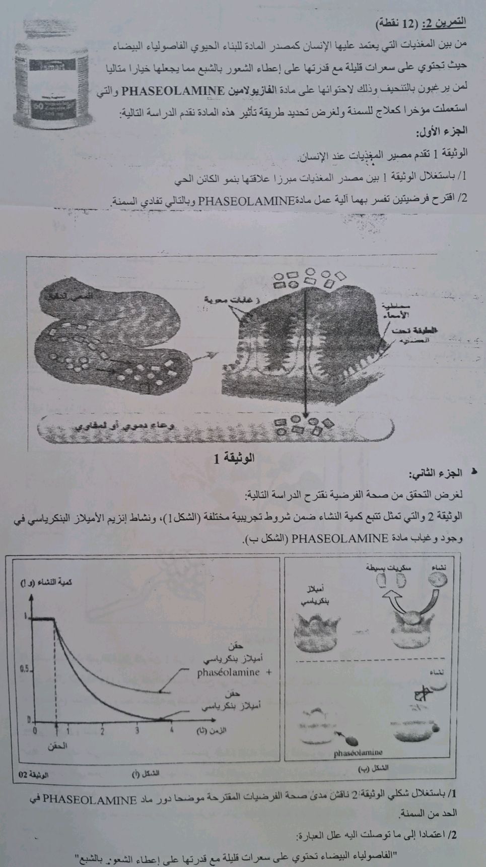 التمرين 2 (12 نقطة) من بين المغذيات التي | StudyX