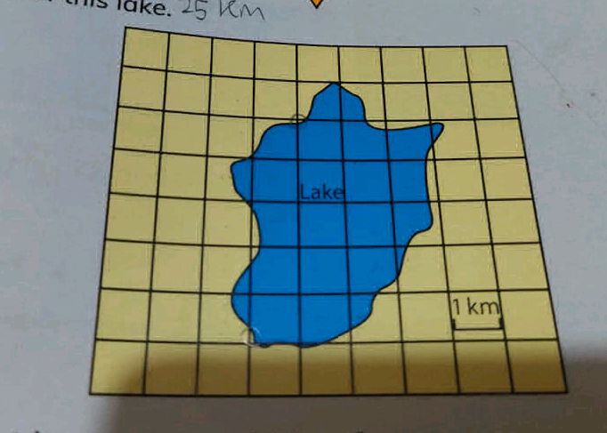 The image shows a lake on a grid. The scale | StudyX