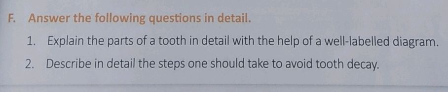 F. Answer the following questions in detail. | StudyX