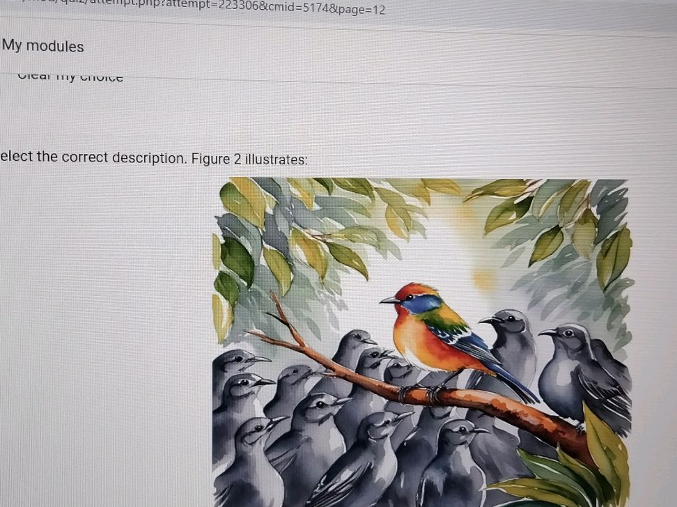 elect the correct description. Figure 2 | StudyX