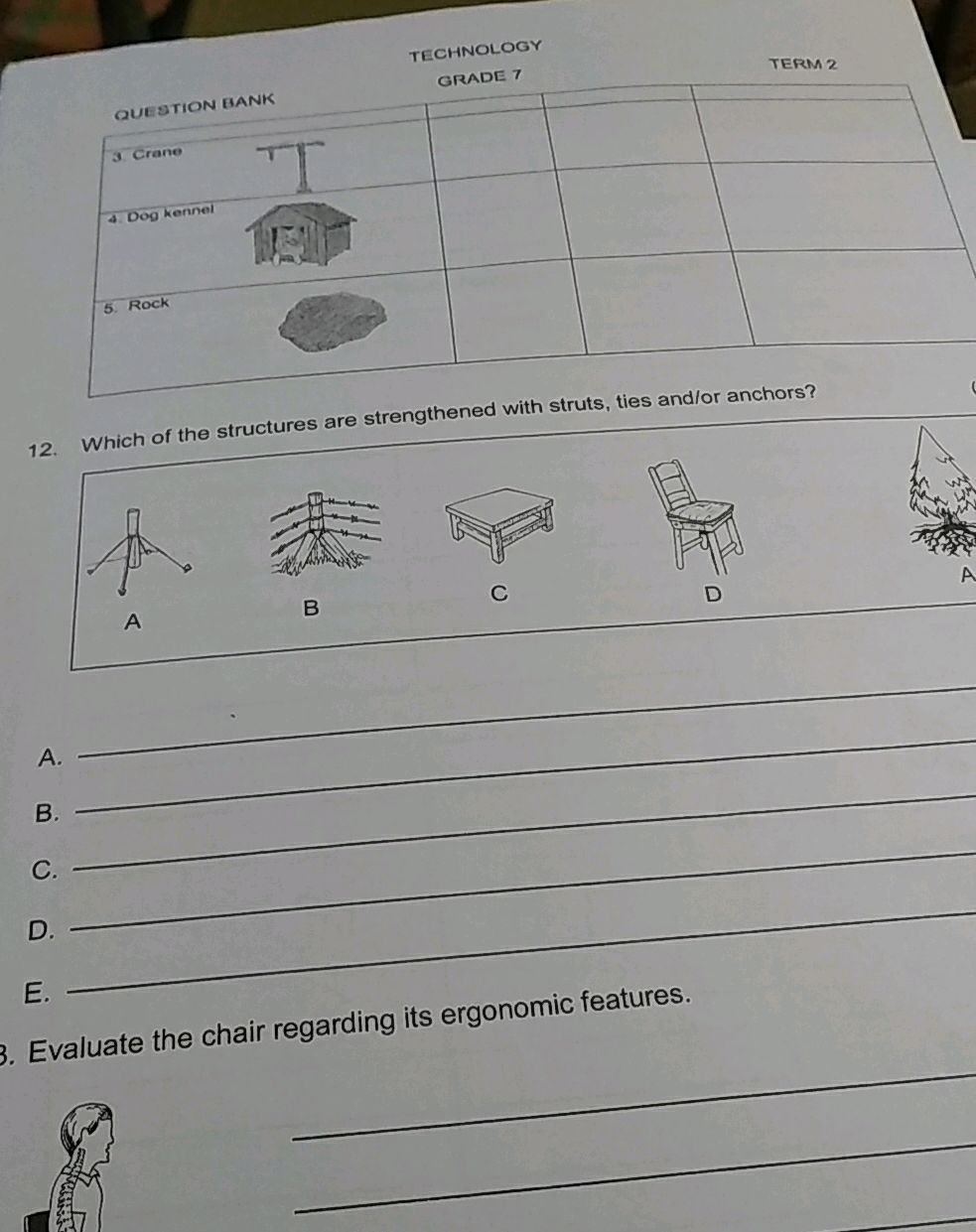 12. Which of the structures are strengthened | StudyX