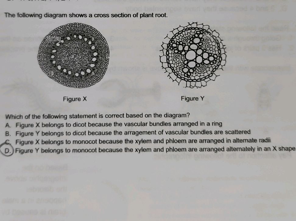 The following diagram shows a cross section | StudyX