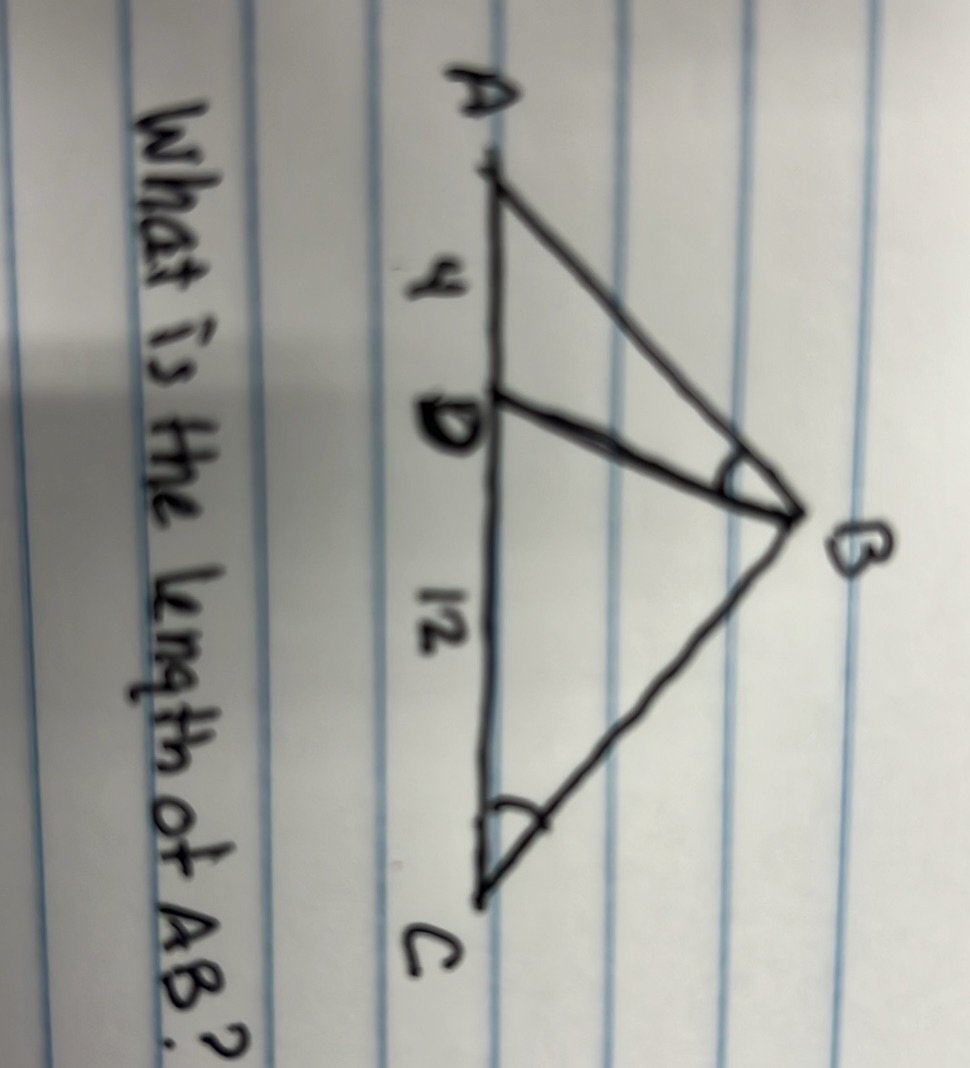 What is the length of AB | StudyX
