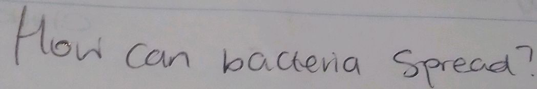 How Bacteria Spread: Transmission Methods | StudyX