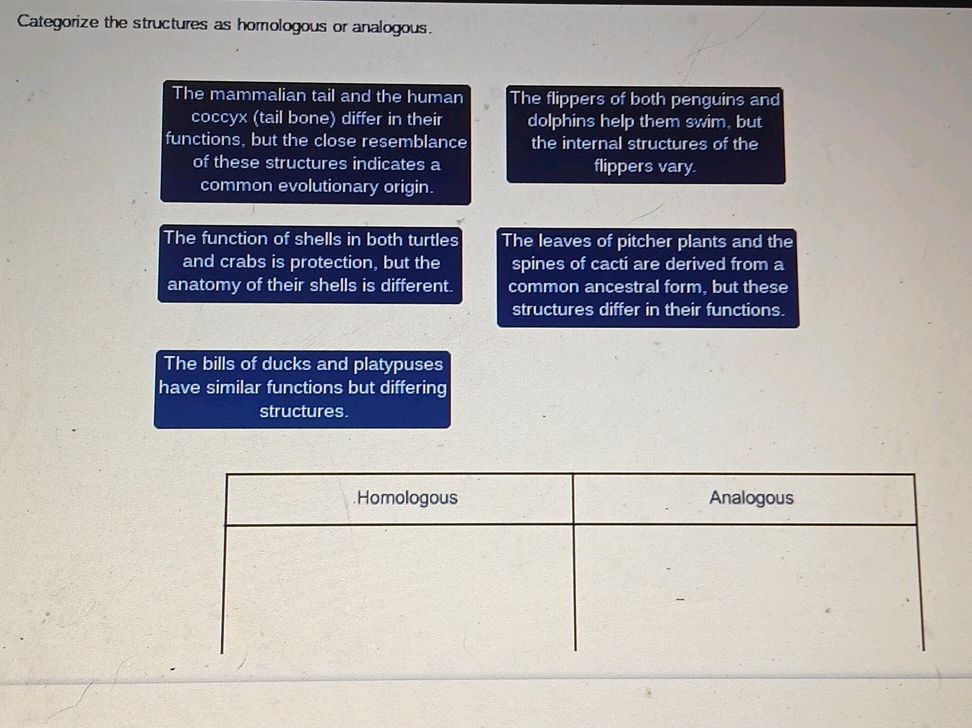 Categorize the structures as homologous or | StudyX