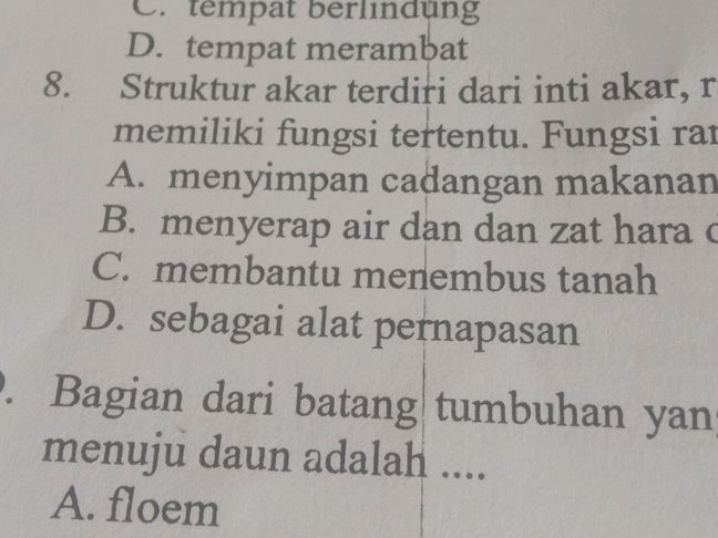 8. Struktur akar terdiri dari inti akar, | StudyX