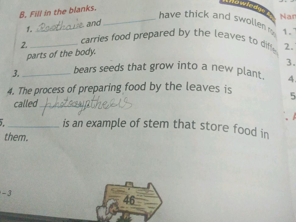 B. Fill in the blanks. 1. Roothave and | StudyX