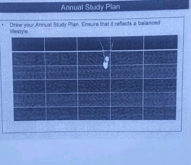 Draw your Annual Study Plan. Ensure that it | StudyX