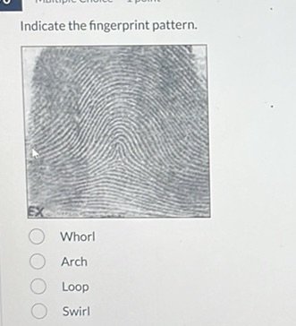 Indicate the fingerprint pattern. Whorl | StudyX