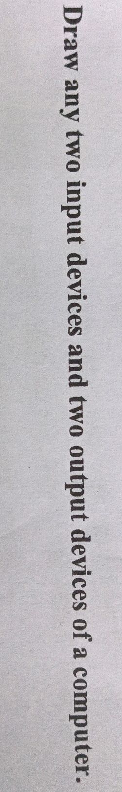 Draw any two input devices and two output | StudyX